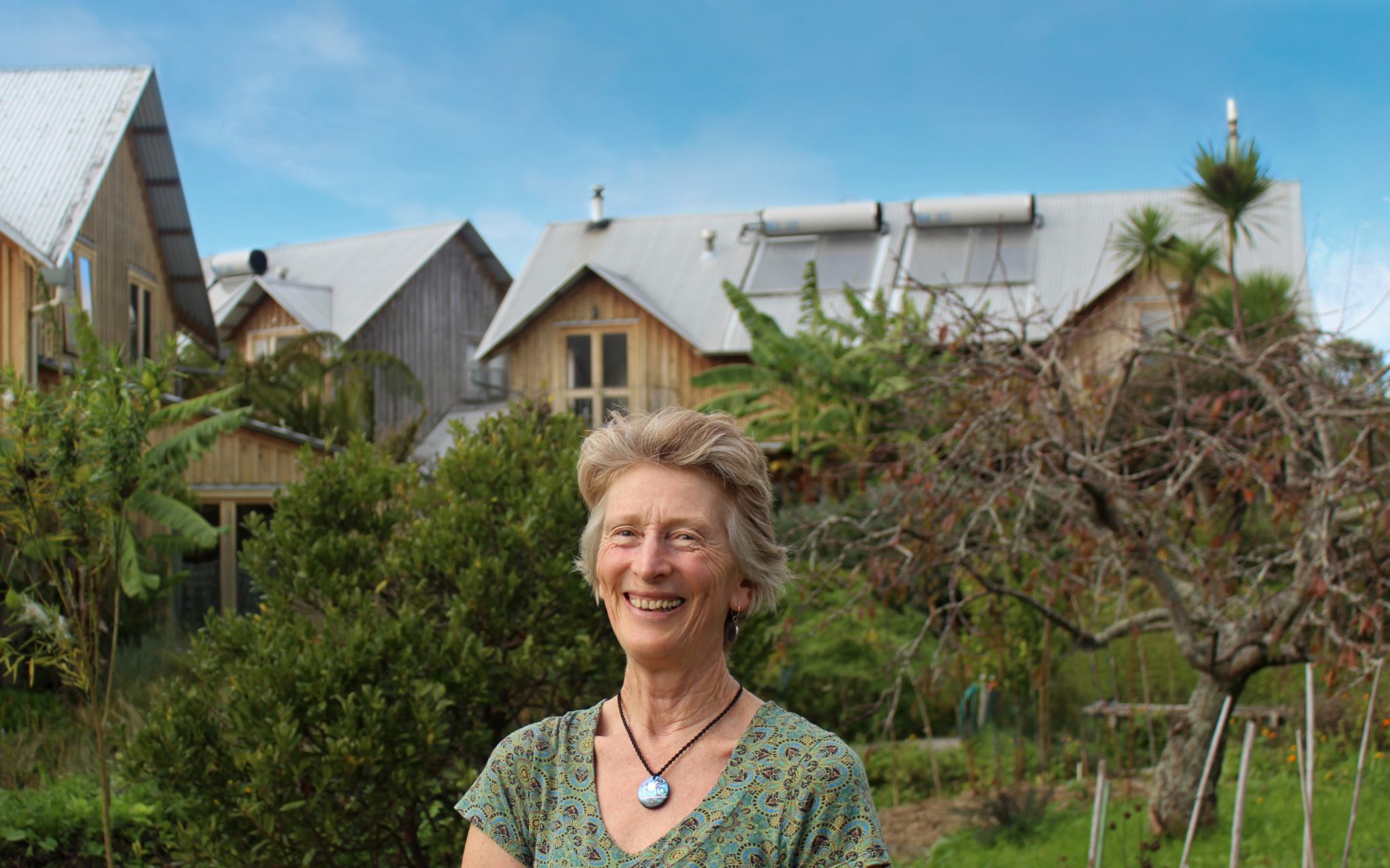 Robin Allison – Developing Sustainable Community