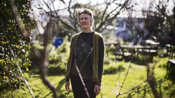 Stuff article – Robin Allison